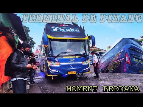 STJ DRAKA || Perdana Di Pondok Pinang Menggantikan Stj Rhudour #stjdraka #pondokpinang