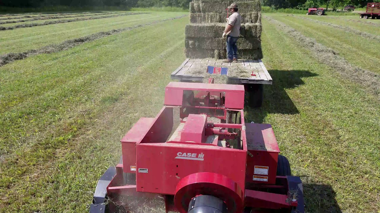 Baling second cutting hay with the oliver 1955 and case 8530 inline ...