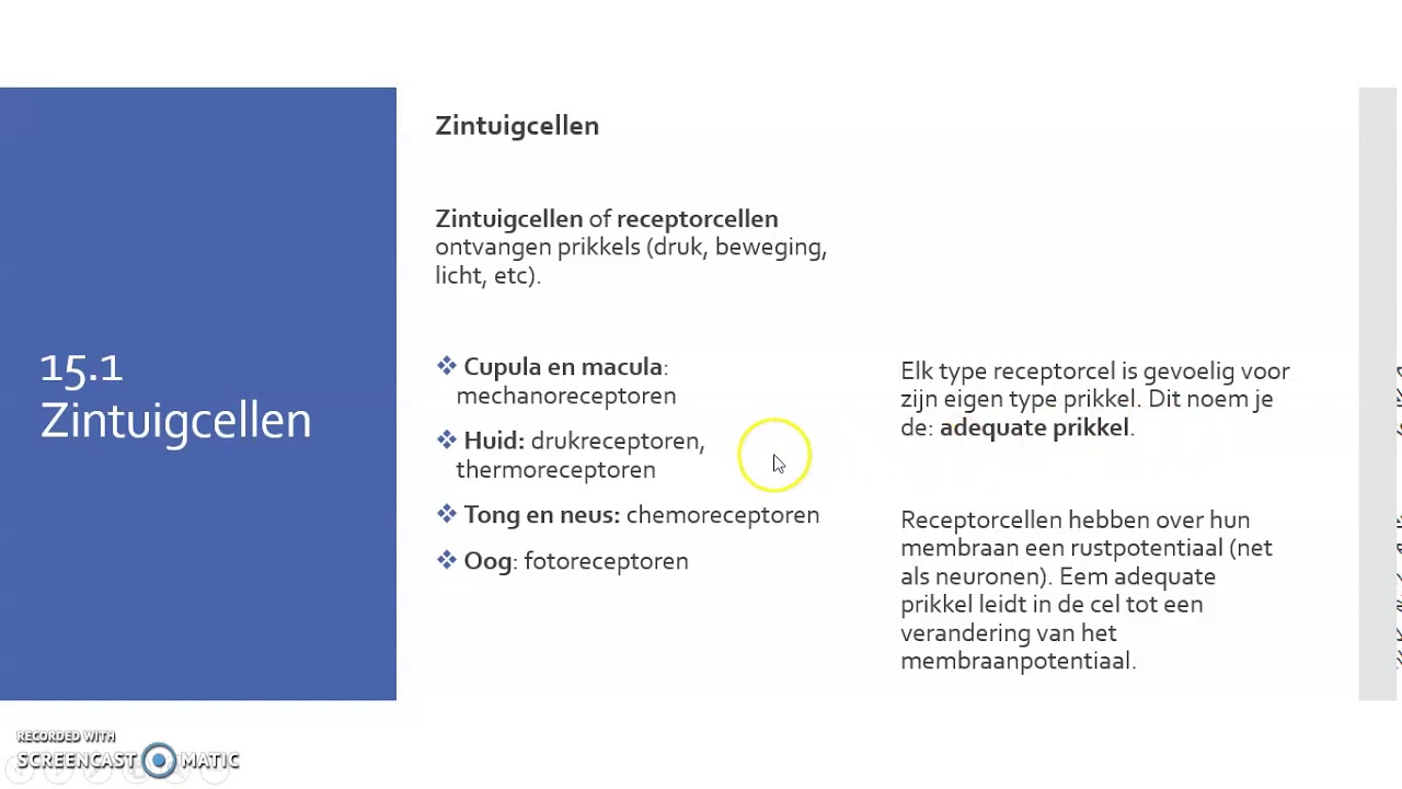 15.1 Zintuigcellen deel 2 - YouTube