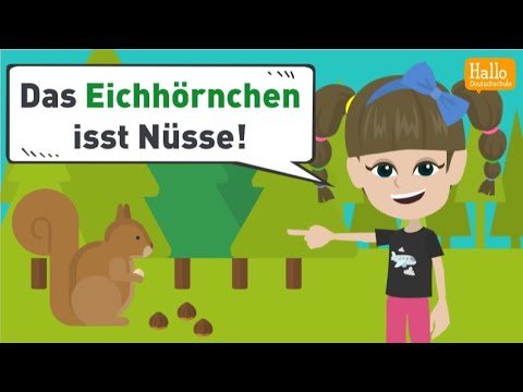 Deutsch lernen A1 und A2 | Wörter mit den Umlauten ä, ö und ü | Wortschatz und Grammatik üben!