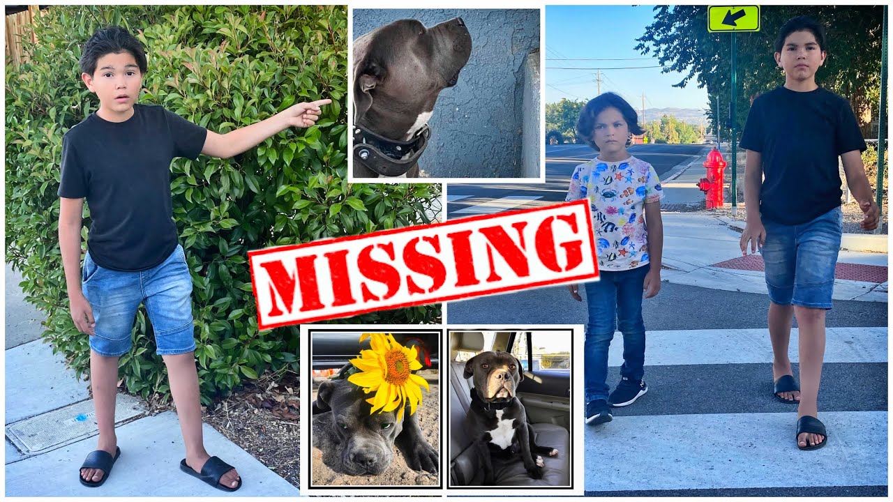 The Search Continues... who was knocking on my car ( Benji) | Lito and ...
