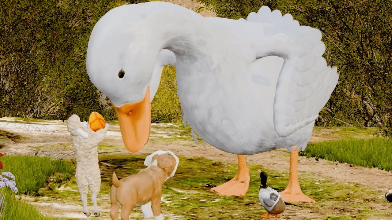 Animation shorts: Margo and Bun (DOG ANIMALES) | CARTOON film - YouTube