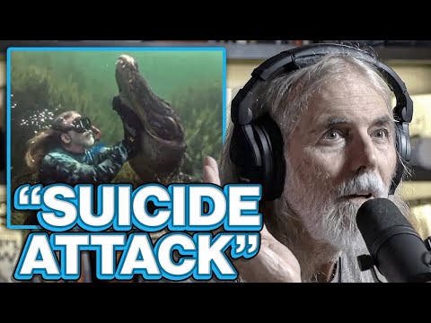 Catching Giant Alligators by Hand | Manny Puig