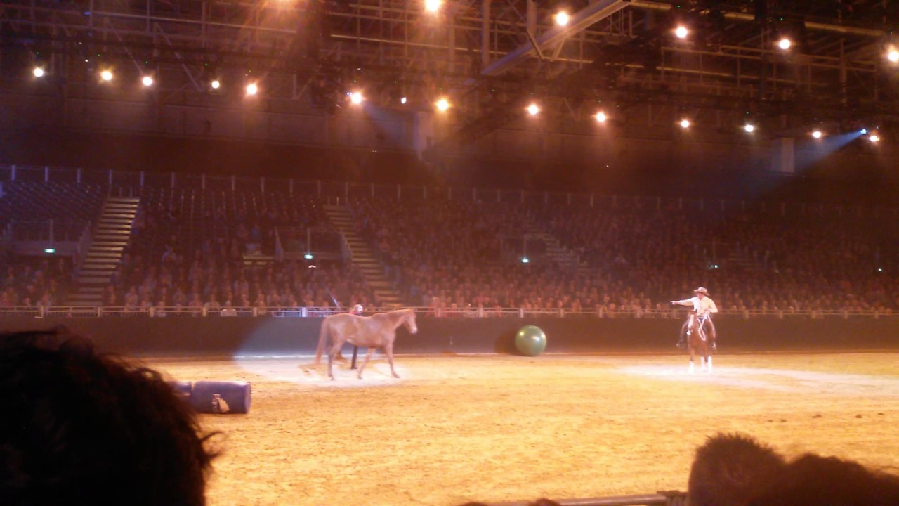 Equitana 2017 - Pat Parelli Abendshow # 4: Spielen mit dem Ball am ...