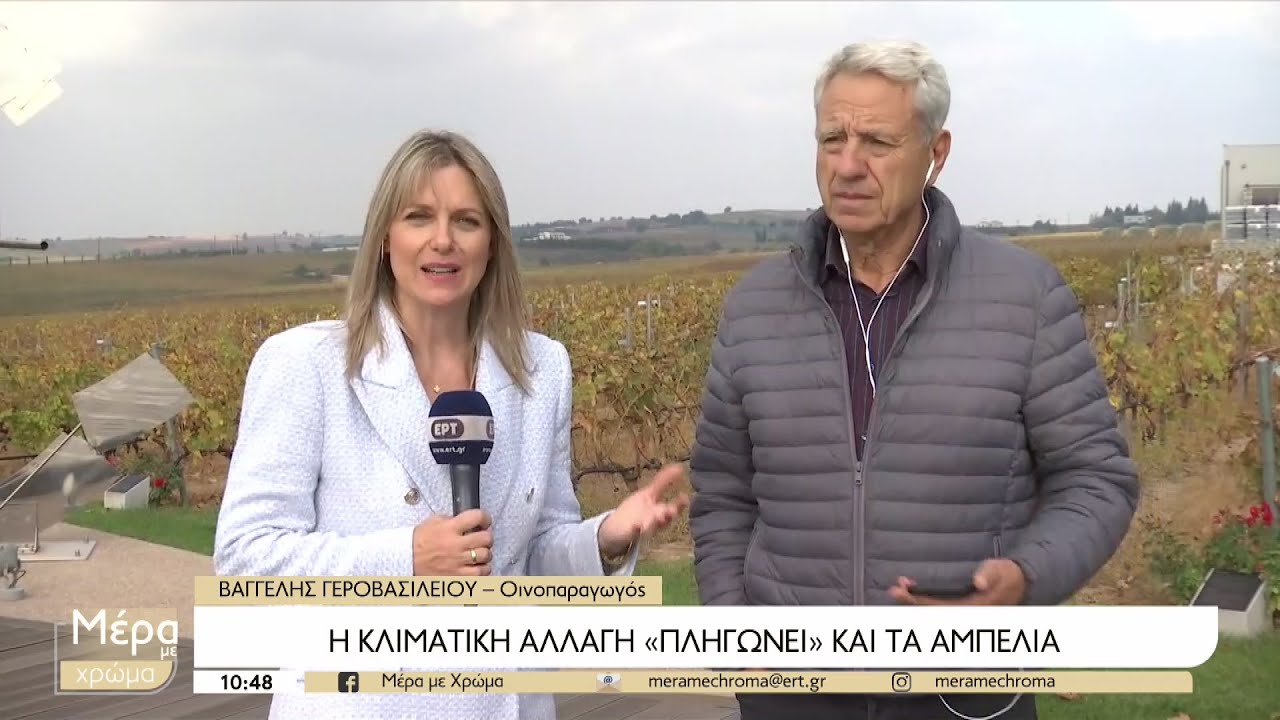Ποικιλίες αμπελιών και κλιματική αλλαγή | 04/11/2022 | ΕΡΤ - YouTube