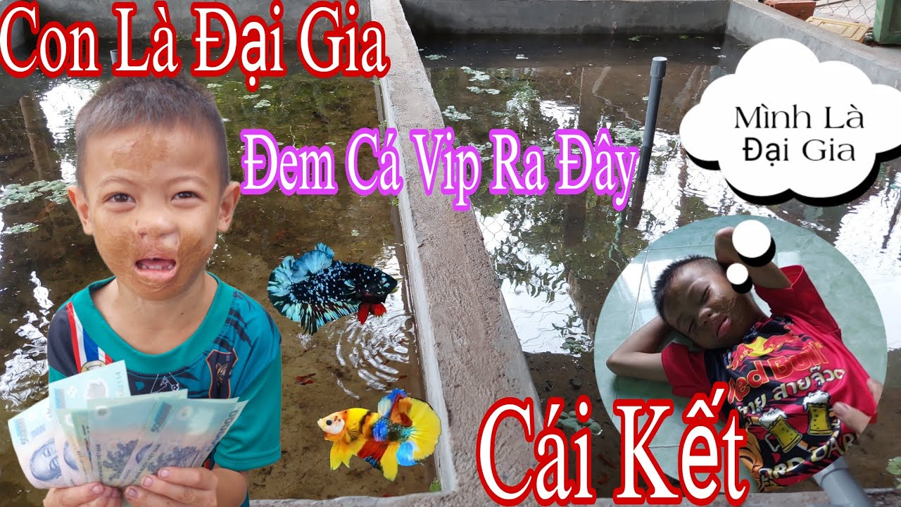 Bất Ngờ Cậu Bé Đại Gia Cầm 5 Triệu Mua Cá Vip Nhất Trại Và Cái Kết ...