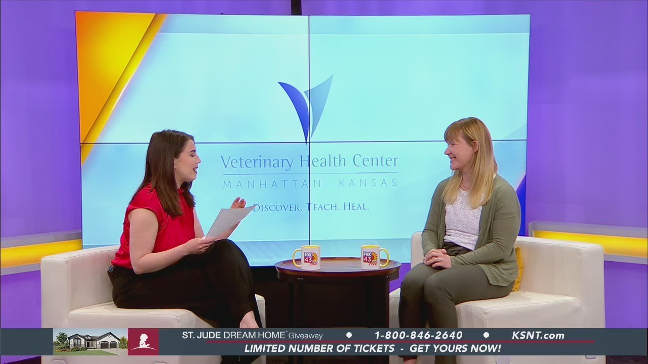 Dr. Jessica Meekins with the K-State Veterinary Health Center Came on ...