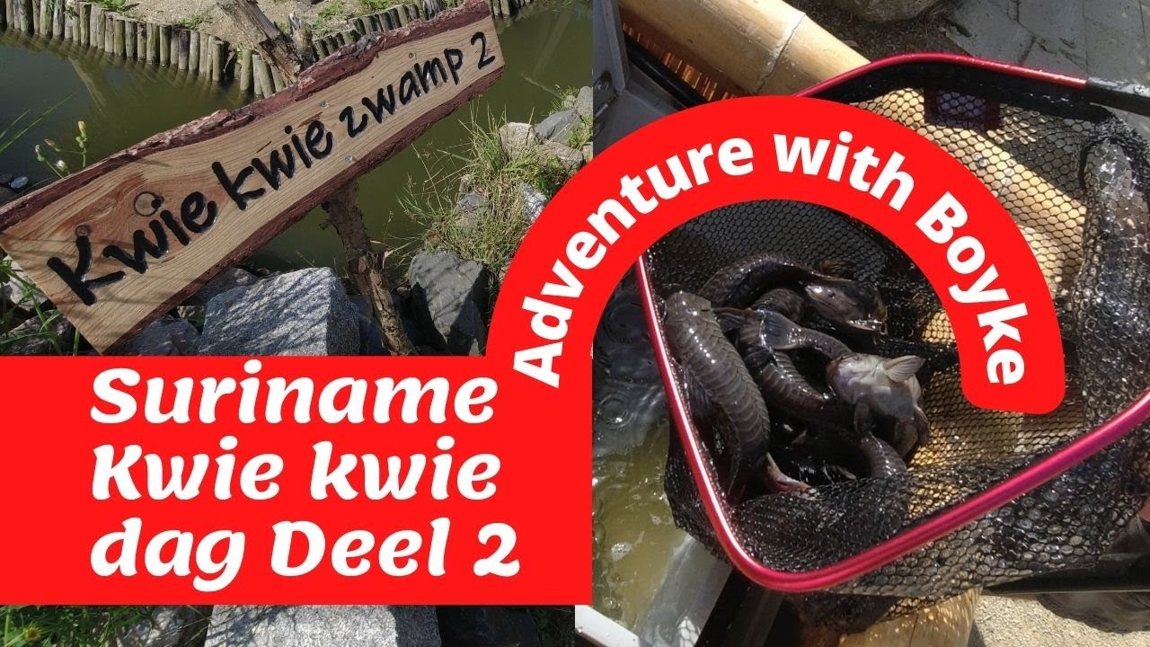 Suriname Kwie Kwie Dag deel 2 | Kwie Kwie vissen in Nederland | Hassar ...