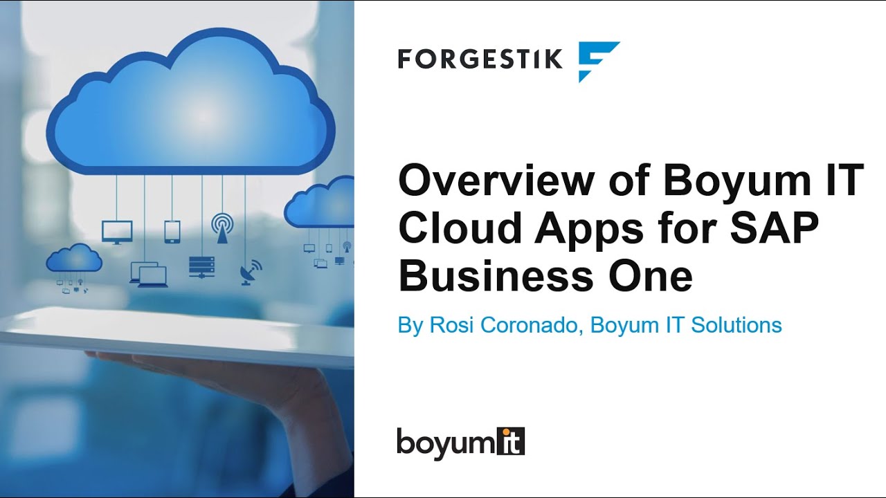 Boyum Cloud Apps - Role-Based Add-Ons for SAP Business One Users to Get ...