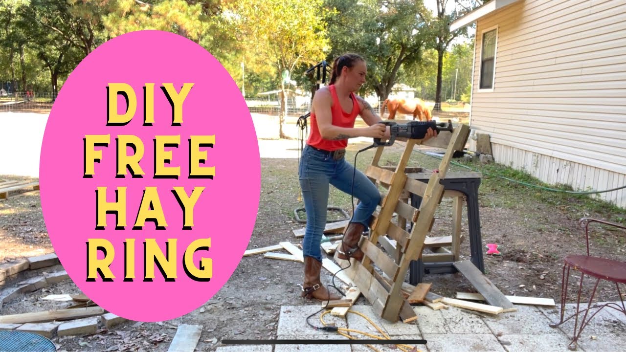 DIY Free Hay Feeder | Hay Ring | Pallet Boards - YouTube