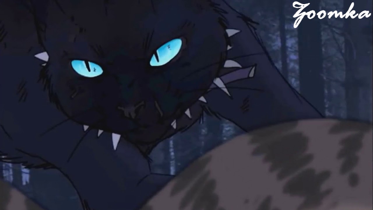 Warriors Cats •°Tigerstar's death°• [ RUS ] - YouTube