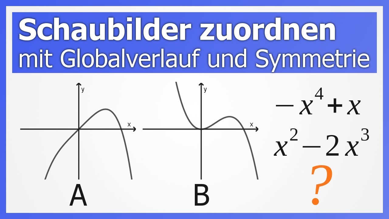 Schaubilder zuordnen über Globalverhalten und Symmetrie (für ...