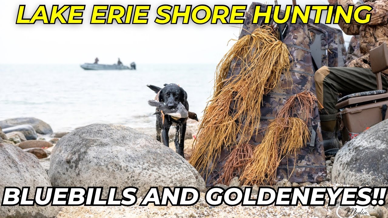 Lake Erie SHORE HUNTING! | Diver Duck Hunting Big Water - YouTube