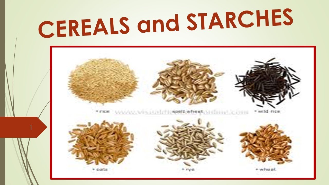 COOKERY 10 QUARTER 1 - LO1 Prepare Mise'en Place CEREALS AND STARCHES ...