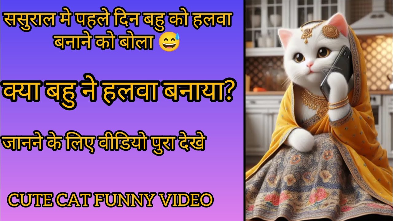 Cute cat funny video | Cute cat | Comedy video | Funny video | Cat ...
