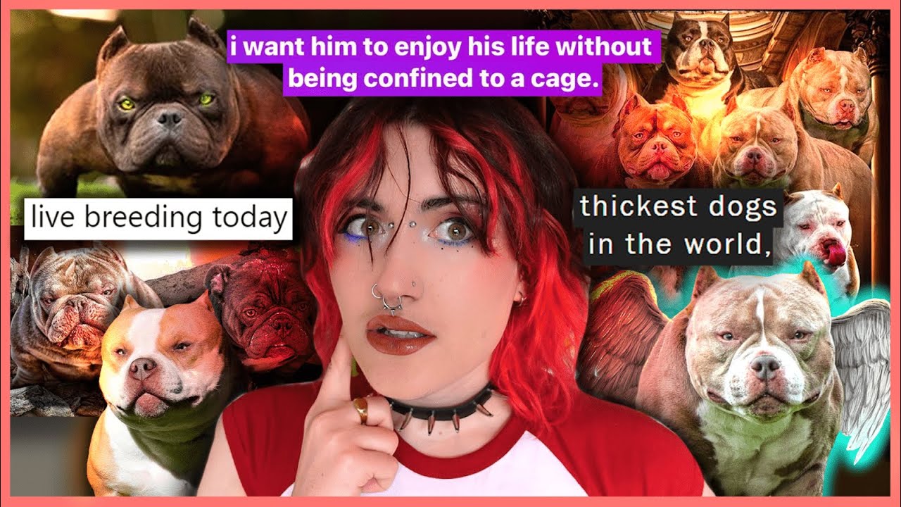 Instagram Dog Breeders Need To Stop - YouTube