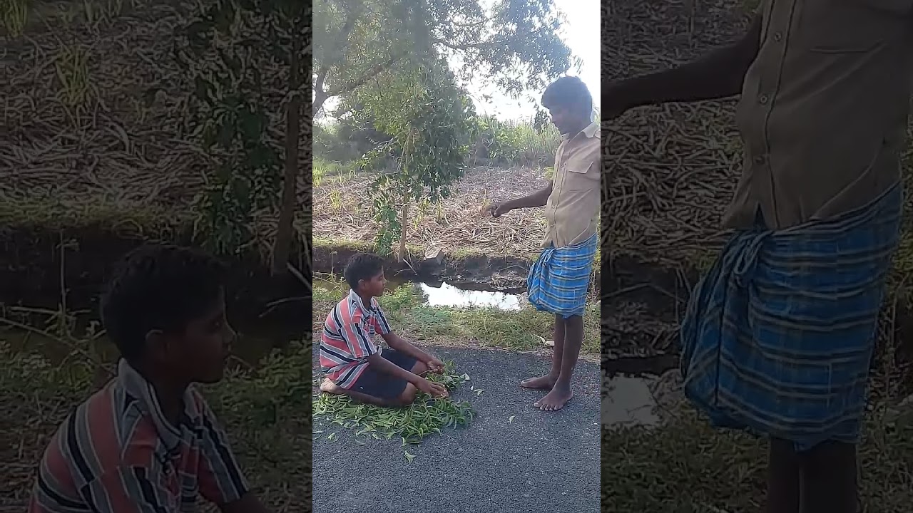 Siruthai Puli videos - YouTube