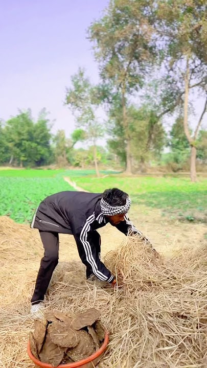 With for end 🤣🤣Funny videos #shorts#youtubeshorts #klshobasureshani - YouTube