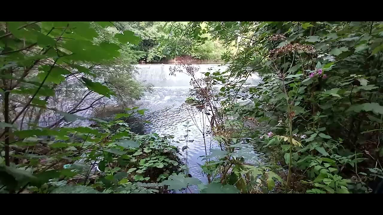 " The Weir " on the River Dane next to Congleton Park - YouTube