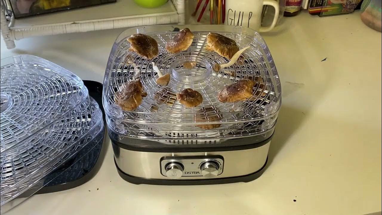 Best Dehydrator For Mushrooms Youtube