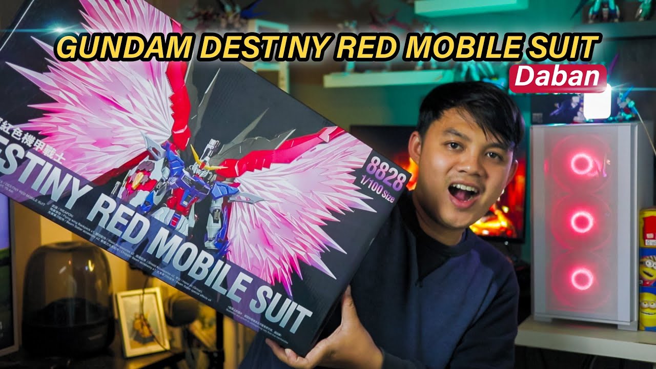 DABAN 8828 MG DESTINY GUNDAM MB VERSION REVIEW #Destiny #daban - YouTube