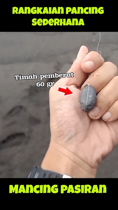 🔴 SIMPLE !!! Rangkaian Untuk Mancing Pasiran#shorts - YouTube