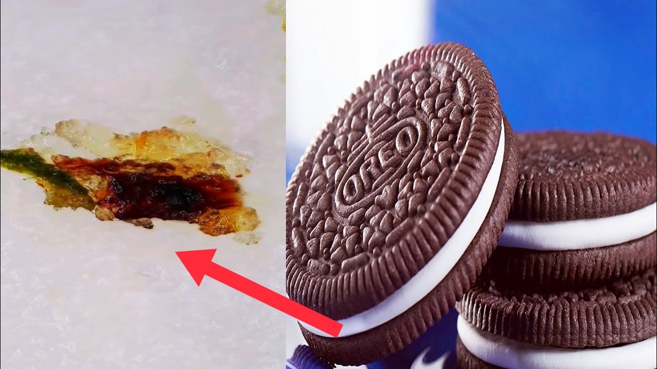 Oreo cookies under the microscope| بسكويت أوريو تحت المجهر #microscope ...