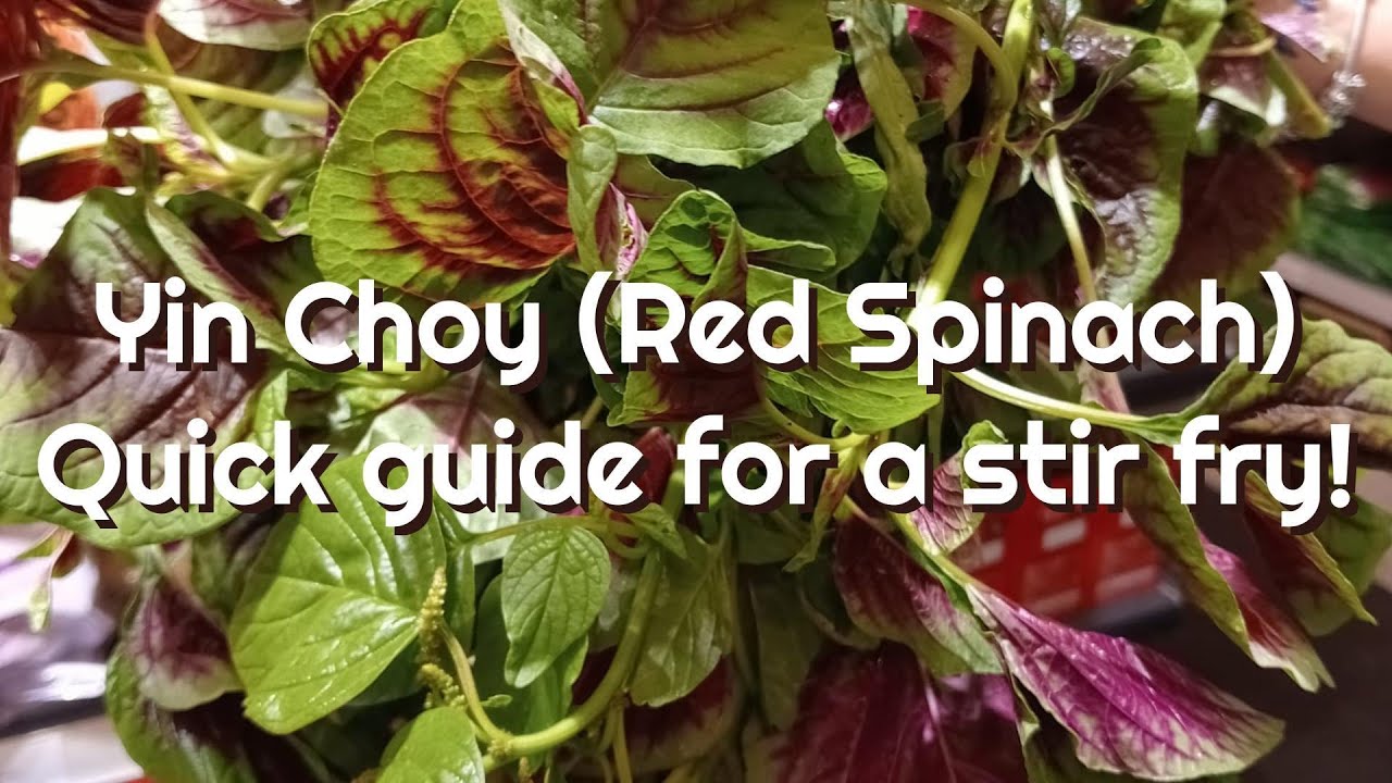Yin Choy (Red Spinach) - Guide for a quick Stir Fry #recipe #recipes ...