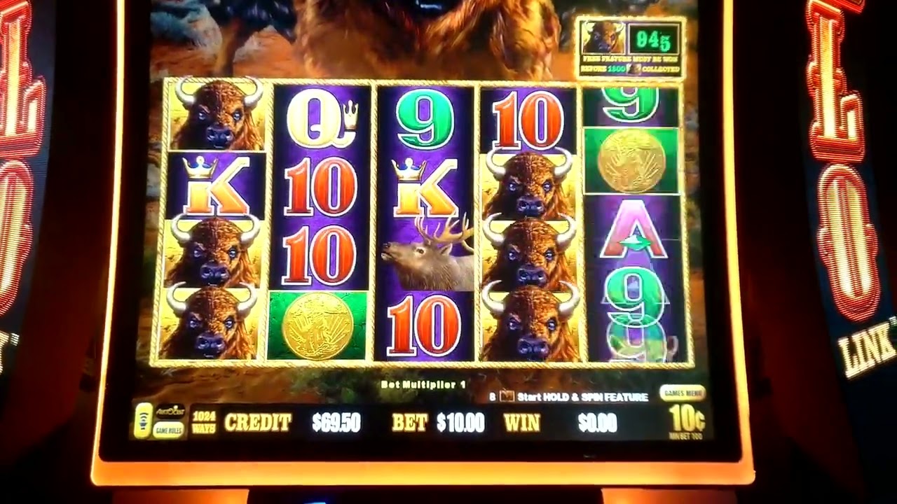 HUNDREDS of $$$ Poured into BUFFALO LINK SLOT MACHINE at $10 Bets ...