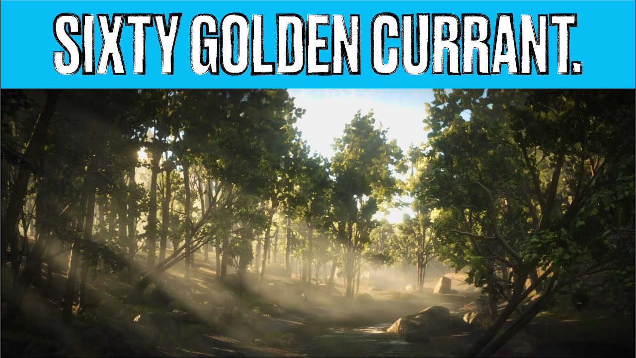 Red Dead Redemption II. 60 Golden Currant Locations. - YouTube