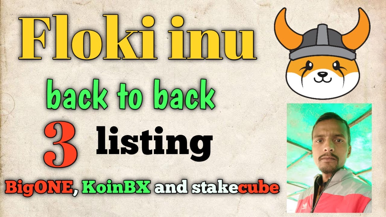 Floki inu back to back 3 listing ਹੋ ਰਹੀਆਂ ਹਨ ll BigONE KoinBX and stakecube exchange listing ll ...