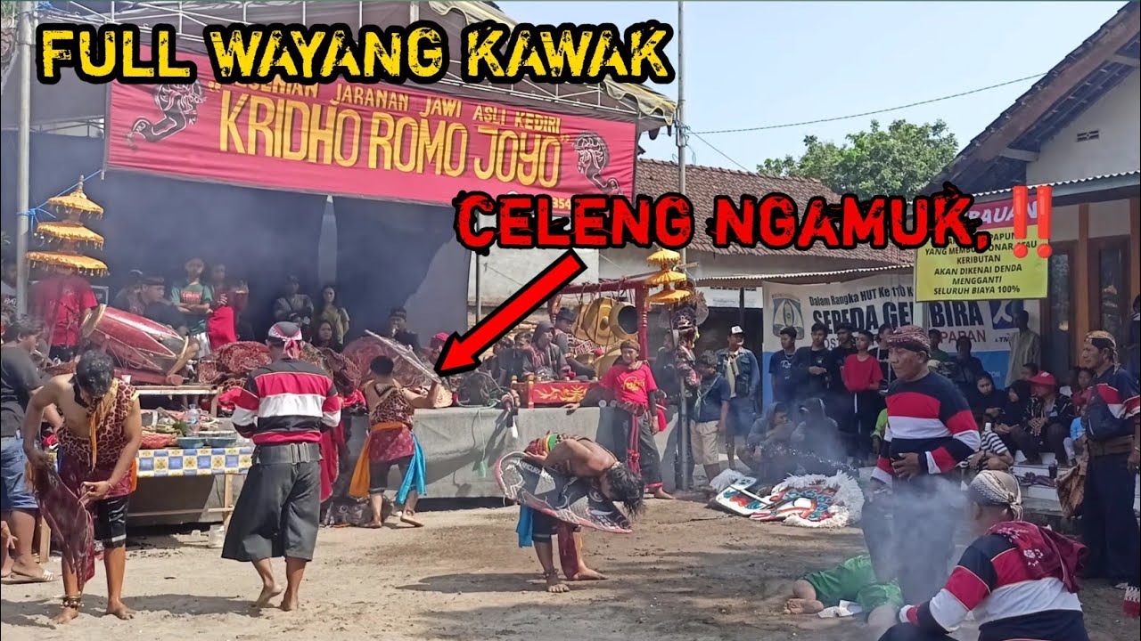 perang celeng full wayang kawak , celeng galak,‼️ Kridho Romo Joyo live ...