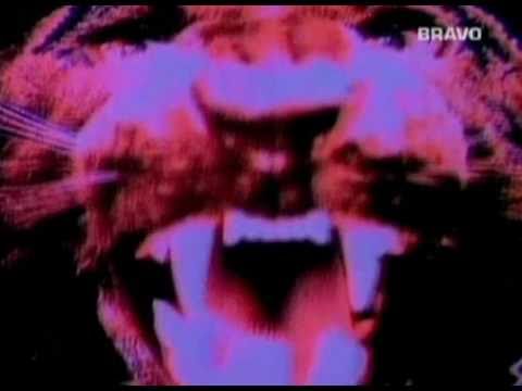 Manimal Nightman Intro - YouTube