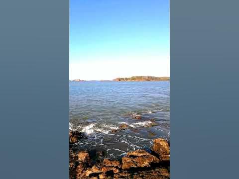 Sea of Serenity 🌊 - #shortvideo #viral - YouTube