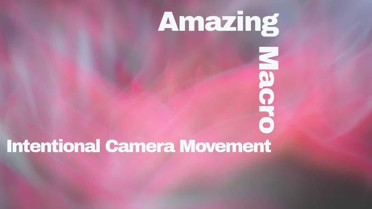 3 Tips for Creative ICM images. I capture some of my best ever images ...