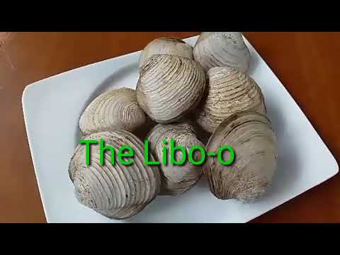 NAG LIBO-O SEA food shell LAGYAN LANG MAINIT TUBIG - YouTube