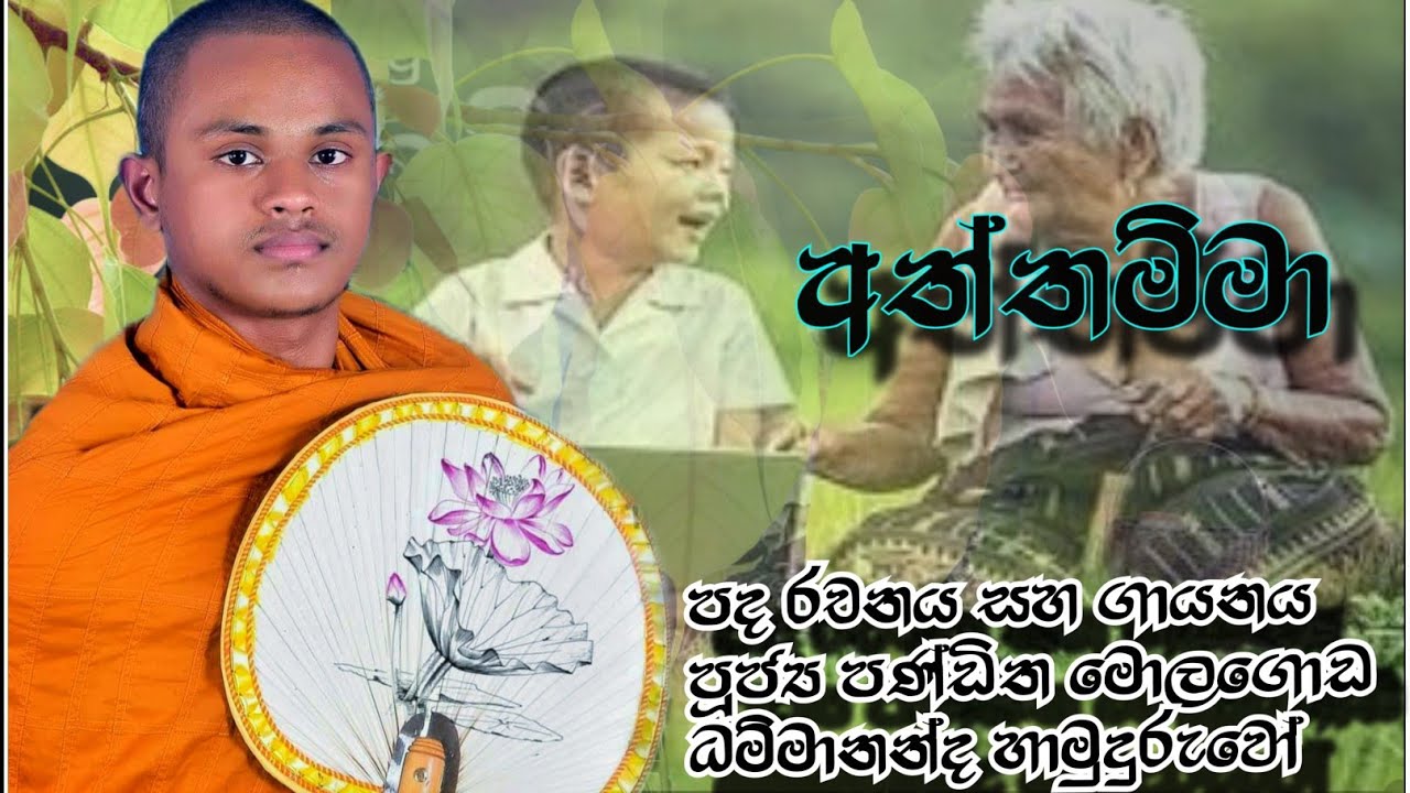 |අත්තම්මා| මවකට නොදෙවෙනි වු අත්තම්මා |aththamma| - YouTube