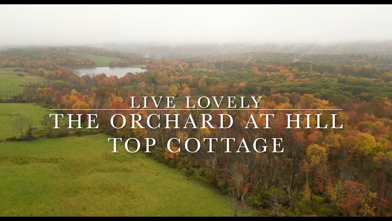 The Little Orchard Behind Hill Top Cottage - YouTube