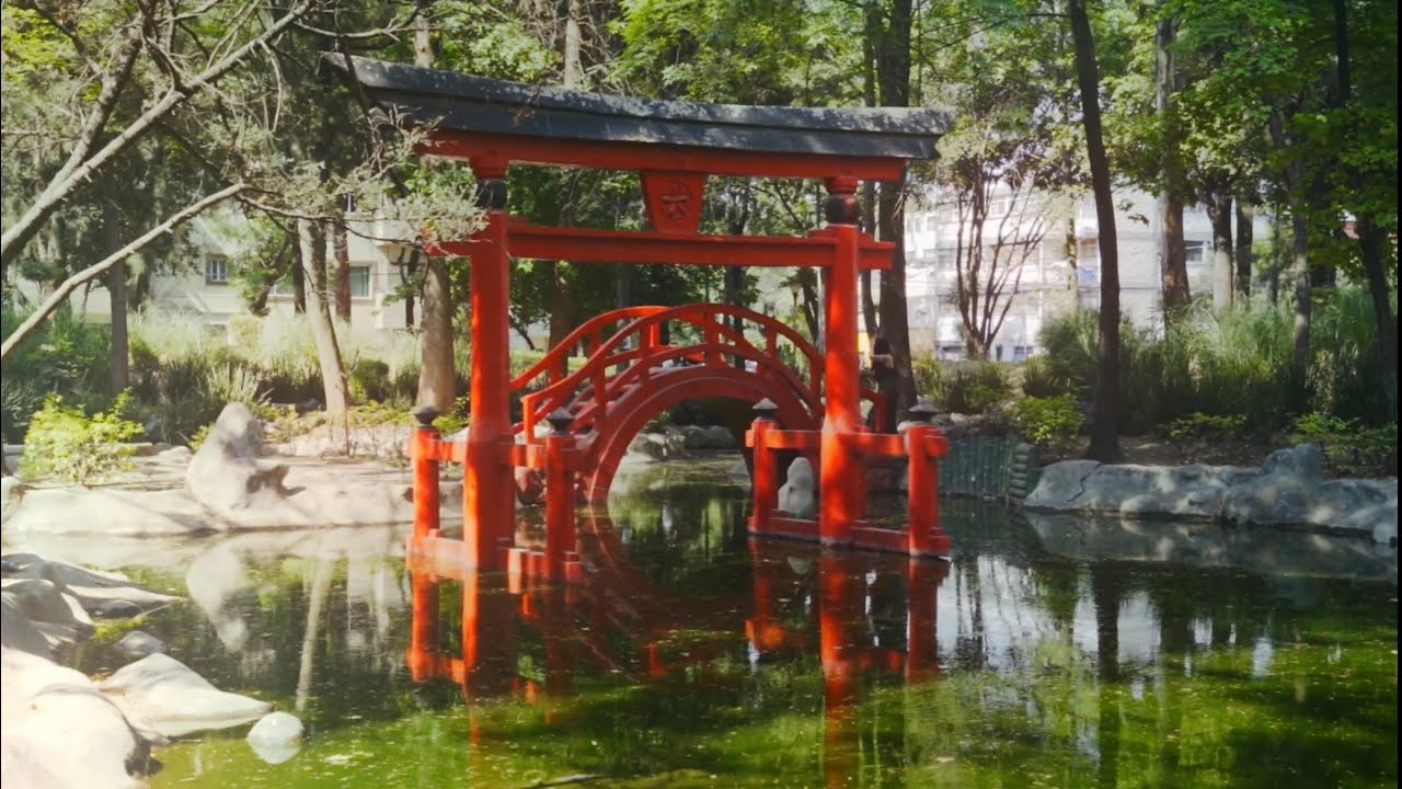 Louis Goodman - IKIGAI (Visualizer) - YouTube