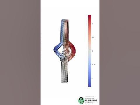 Finite element method (FEM) for 3D hyperelastic problems - YouTube