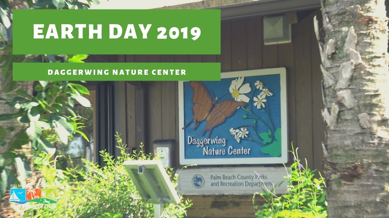 Celebrate Earth Day at Daggerwing Nature Center! - YouTube