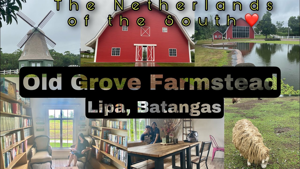 Old Grove Farmstead Lipa, Batangas ( The Netherlands of the South ...