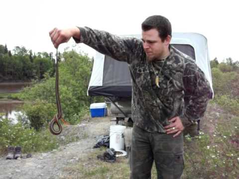 Quebec Serpent - YouTube