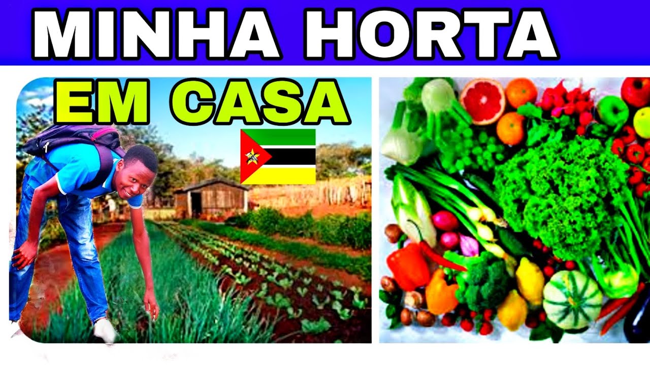 #4 QUE INCRÍVEL IDEIA 💡! HORTA EM CASA!!!🇲🇿 🌱☘️ - YouTube