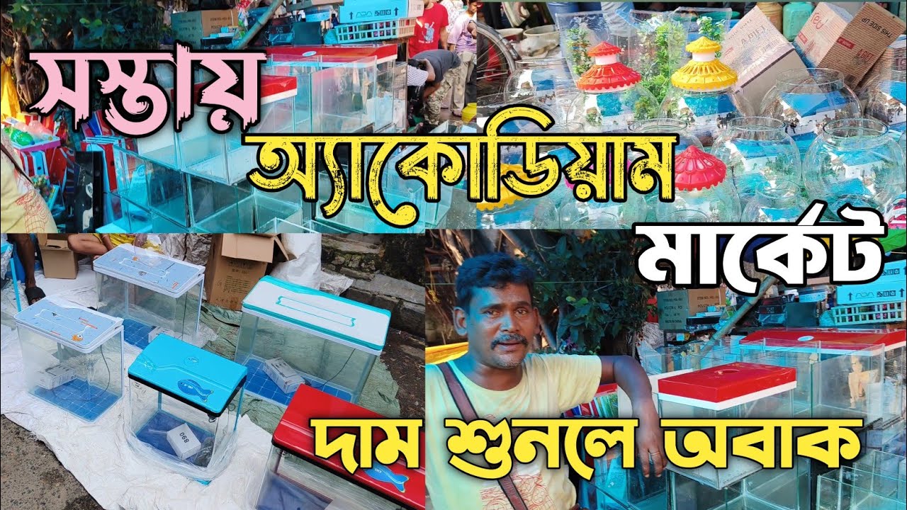 aquarium fish market in kolkata || galiff street aquarium price || tala ...