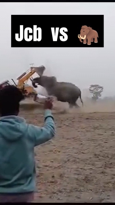 JCB vs 🦣 | हाथी की ताककर JCB se | New Viral video - YouTube