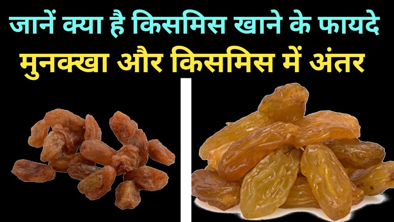 मुनक्खा और किसमिस में अंतर | Kishmish aur Munakka me antar | Benefits ...