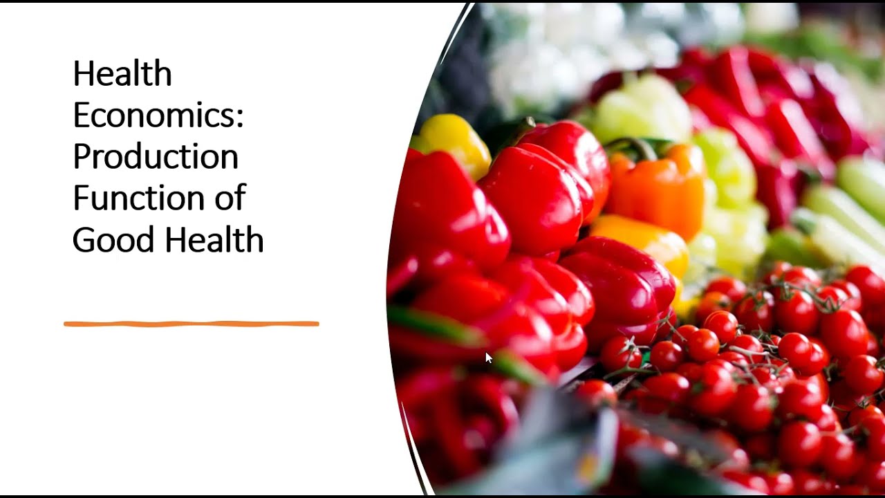 Health Economics: Production Function of Good Health - YouTube