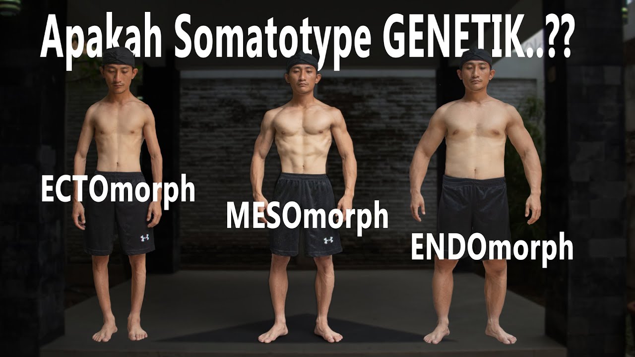Tipe Tubuh Manusia (Ectomorph, Mesomorph dan Endomorph) - YouTube