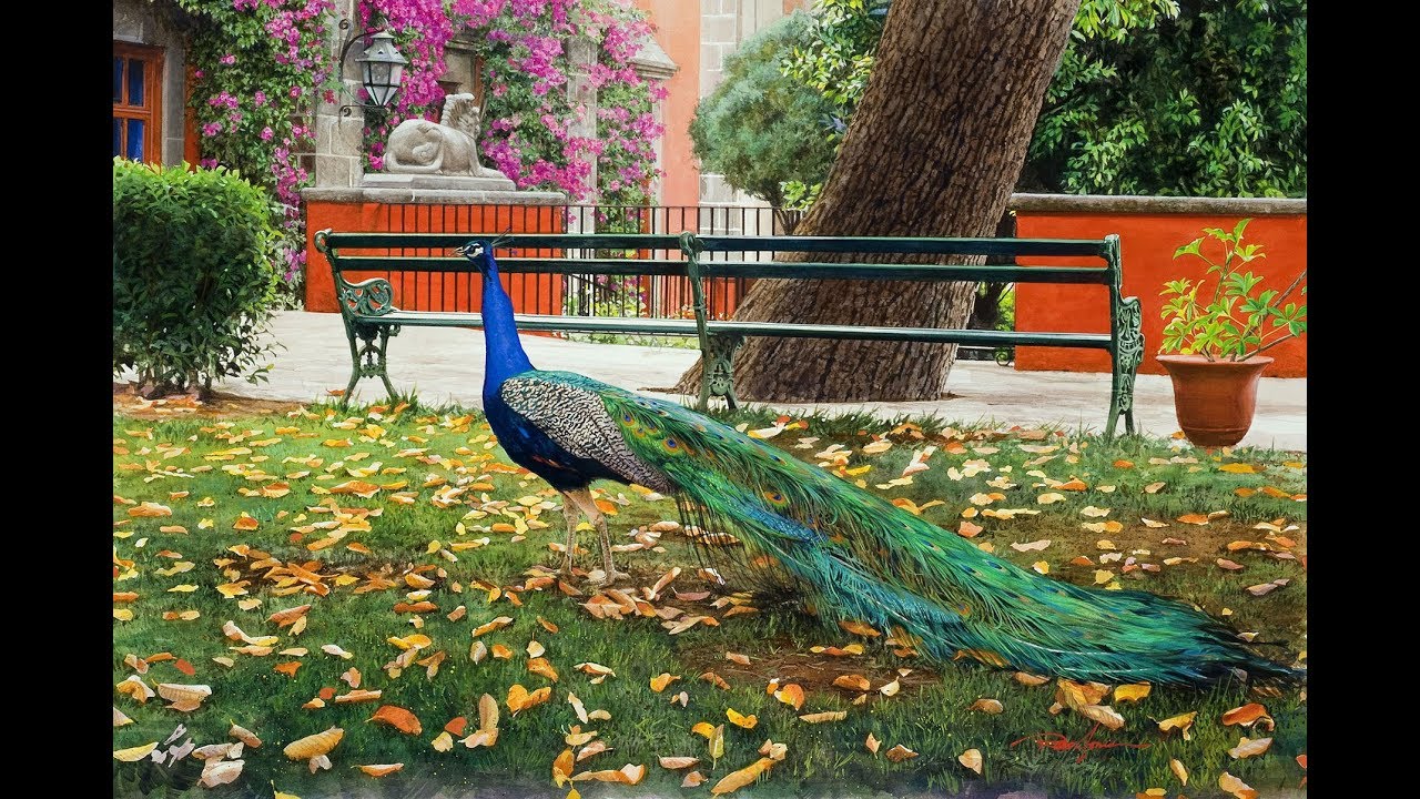 Rance Jones - Watercolor Paintings of Mexico - YouTube